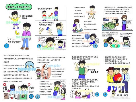 発達障害、知的障害のある男の子向けの分かりやすい性の視覚支援 発達障害 特別支援教育 発達障害 支援