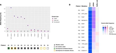 Rb1 Mutations Detected By Tumor Directed Genotyping Figure 2a Variant