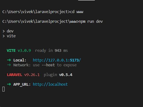 laravel showing error when vite not loaded how to start larvel just