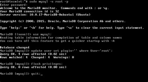 setting up lemp linux nginx mysql mariadb php and phpmyadmin on