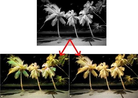 how to colorize black and white infrared images using ai in 2022