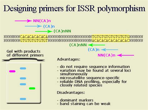 Sequence Tagged Sites Sts