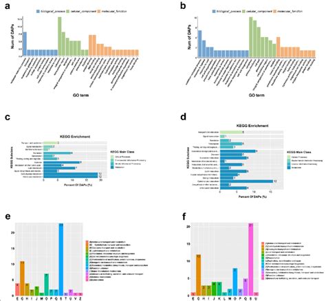 Bioinformatics Analysis Of Daps Gene Ontology Go Enrichment Of Daps