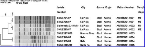 Dendrogram Showing The Genetic Relation Between Salmonella Muenster
