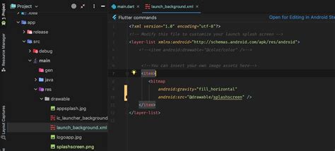 [flutter] adding a splash screen to flutter apps syntaxfix