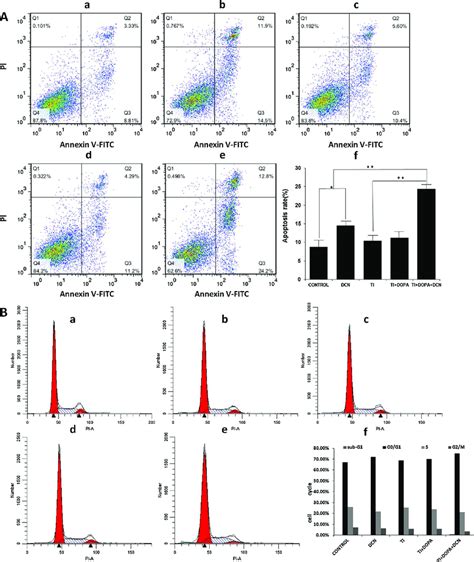 Flow Cytometry Analysis Of Apoptosis And Cell Cycle Distribution Of