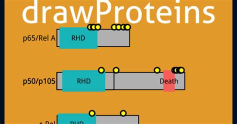 R For Biochemists Creating A Drawproteins Hex Sticker