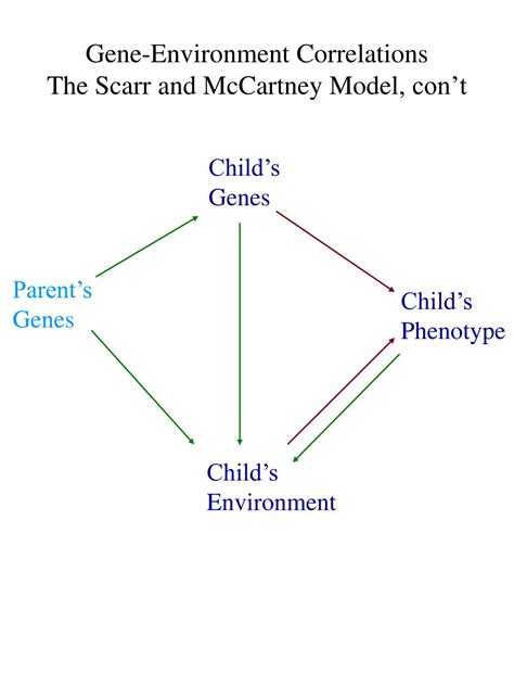 Ppt Gene Environment Interactions Powerpoint Presentation Free