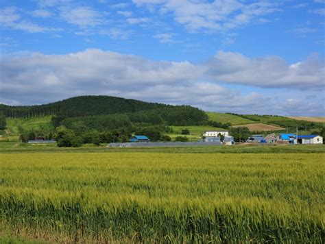 【北海道栗山町に住むための6つの基礎情報】栗山町で移住・2拠点生活。