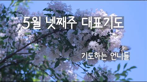 5월 넷째주 대표기도대표기도문ㅣ 주일대표기도 모음 ㅣ 5월 4주 대표기도 ㅣ 5월의 기도 ㅣ 인천 논현동 행복한 교회 ㅣ5월