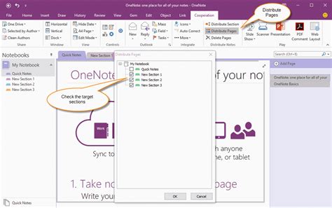 distribute selected pages to sections in onenote office onenote gem