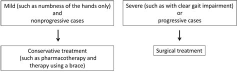 Japanese Orthopaedic Association Joa Clinical Practice Guidelines On