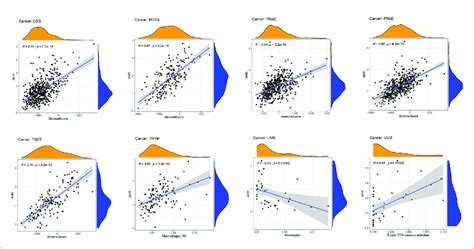 The Correlation Between Ahr Expression And Both The Estimate Score