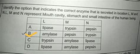 Identify The Option That Indicates The Correct Enzyme That Is Secreted