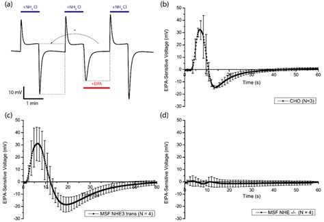 Biosensors Special Issue Field Effect Transistor Biosensors