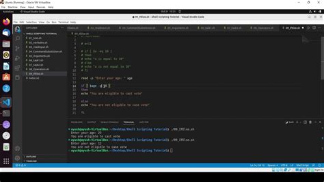 shell scripting tutorial if else youtube