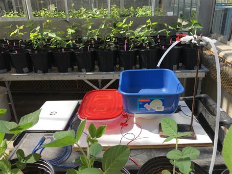 irrigation system · github topics · github