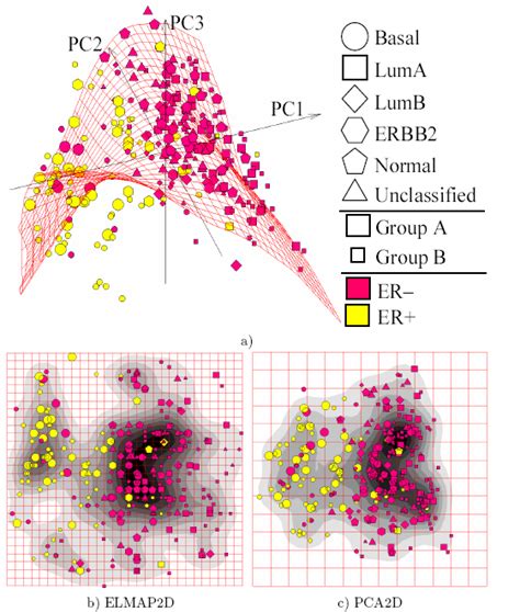 elastic map wikipedia