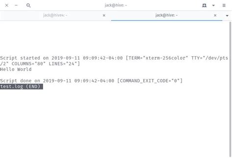 how to use tee and script commands to capture output and