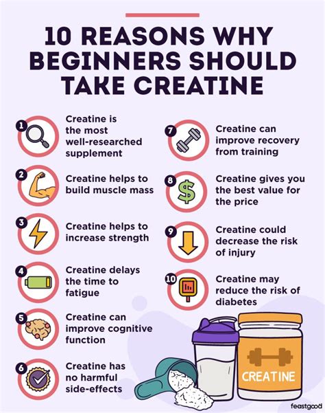 Should Beginners Take Creatine Who Should And Should Not Use