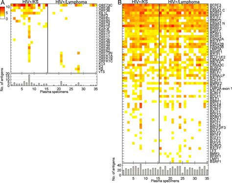 Kshv And Ebv Protein Recognition By Plasma From Hiv 1 Positive Patients