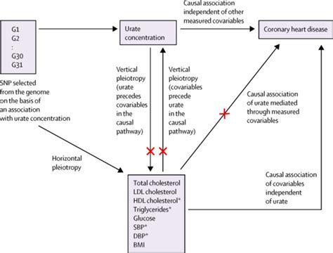 Conceptual Framework For The Mendelian Randomisation Analysis Of Urate