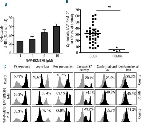Figure 1 From The Phosphatidylinositol 3 Kinase Inhibitor Nvp Bkm120