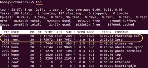 linux unix process management ps kill top df free