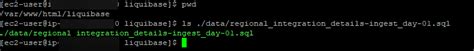 liquibase over ssh unexpected error running liquibase does not exist