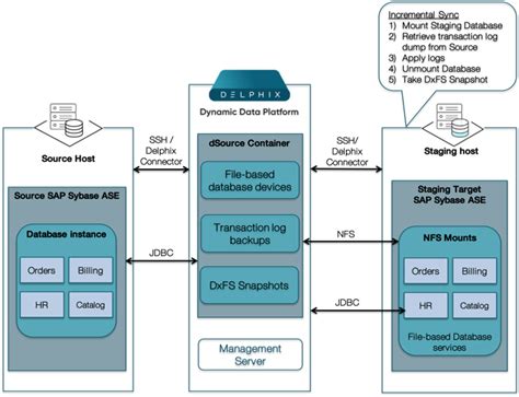 managing sap ase environments overview
