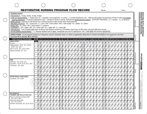restorative nursing program flow record