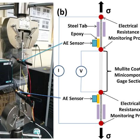 Schematic Of High Intensity Ultrasonic Vibration Device Used In This