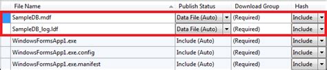 sql server how to create an exe file with local database