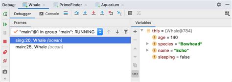 debug tool window intellij idea