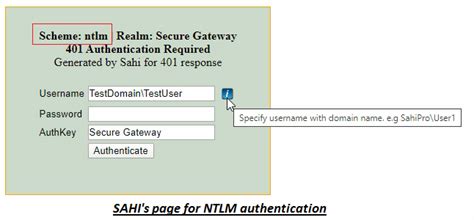 401 authentication sahi pro