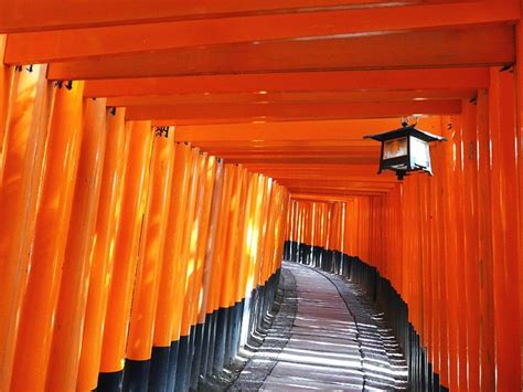 絶景「鳥居が映える神社」9選！千本鳥居や水辺の赤い鳥居も必見【全国】 ｜じゃらんニュース