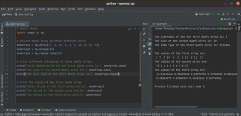 how to use python numpy array