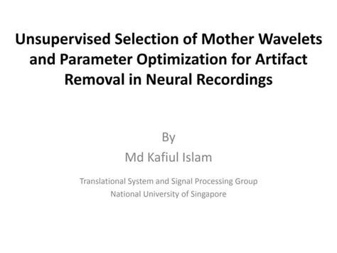 Unsupervised Selection Of Mother Wavelets And Parameter Optimization Ppt