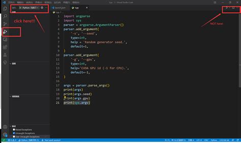 python program can not get the args from the launch json of vscode