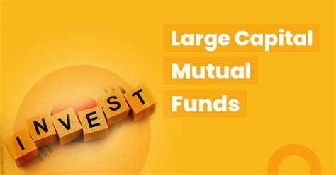 Best Large Cap Mutual Fund To Invest In 2022