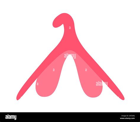 Clítoris órgano Sexual Femenino Y Femenino Para El Orgasmo Del