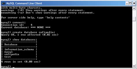 install and configure mysql for windows