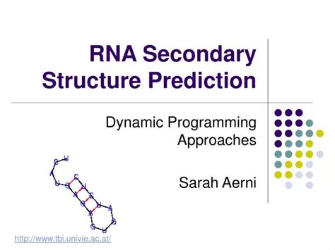 Ppt Rna Secondary Structure Prediction Powerpoint Presentation Free