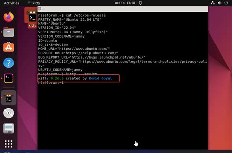 How To Install Kitty Terminal On Ubuntu 24 04 Or 22 04 Or 20 04