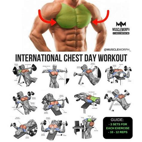 Pin On Workouts Chest Workouts Gym Workout Tips Chest Day Workout