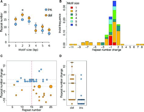 Patterns Of Insertion And Deletion In Microsatellites And Dependency