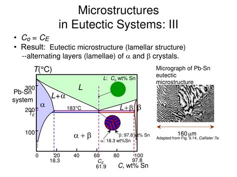 Ppt Microstructures In Eutectic Systems I Powerpoint Presentation