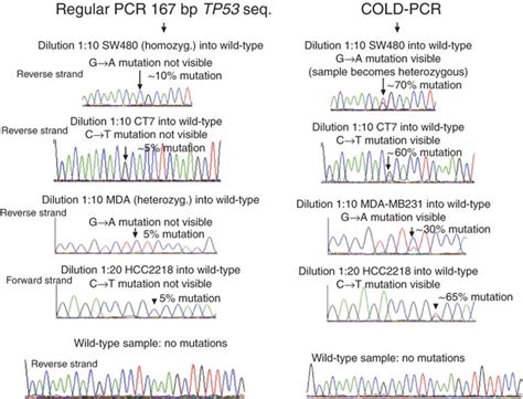 Cold Pcr Improves The Sensitivity Of Sanger Dideoxy Terminator