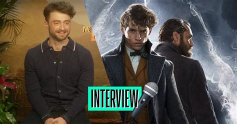 Les Animaux Fantastiques 4 Daniel Radcliffe De Retour En Harry Potter