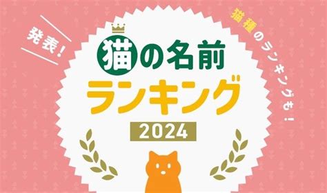2024年最新版！「猫の名前＆人気猫種ランキング」 アニコム損害保険株式会社のプレスリリース